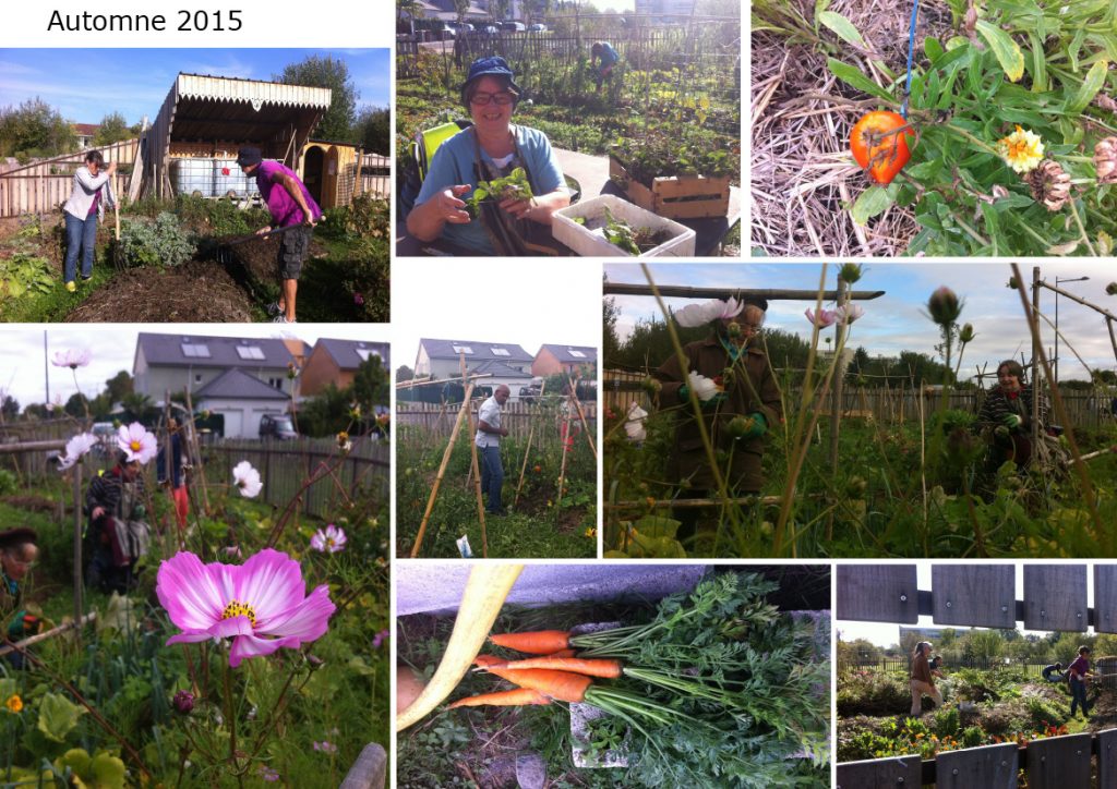 Accompagnement & animation d'un potager partagé urbain- Pau - (64)